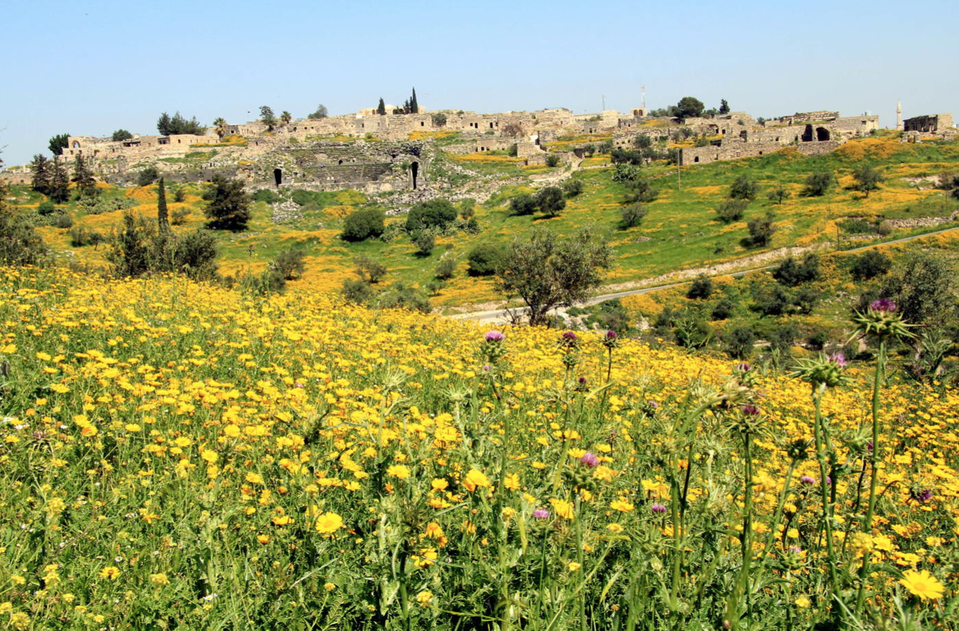 Exploring Jordan’s Sacred Sites in the Spring